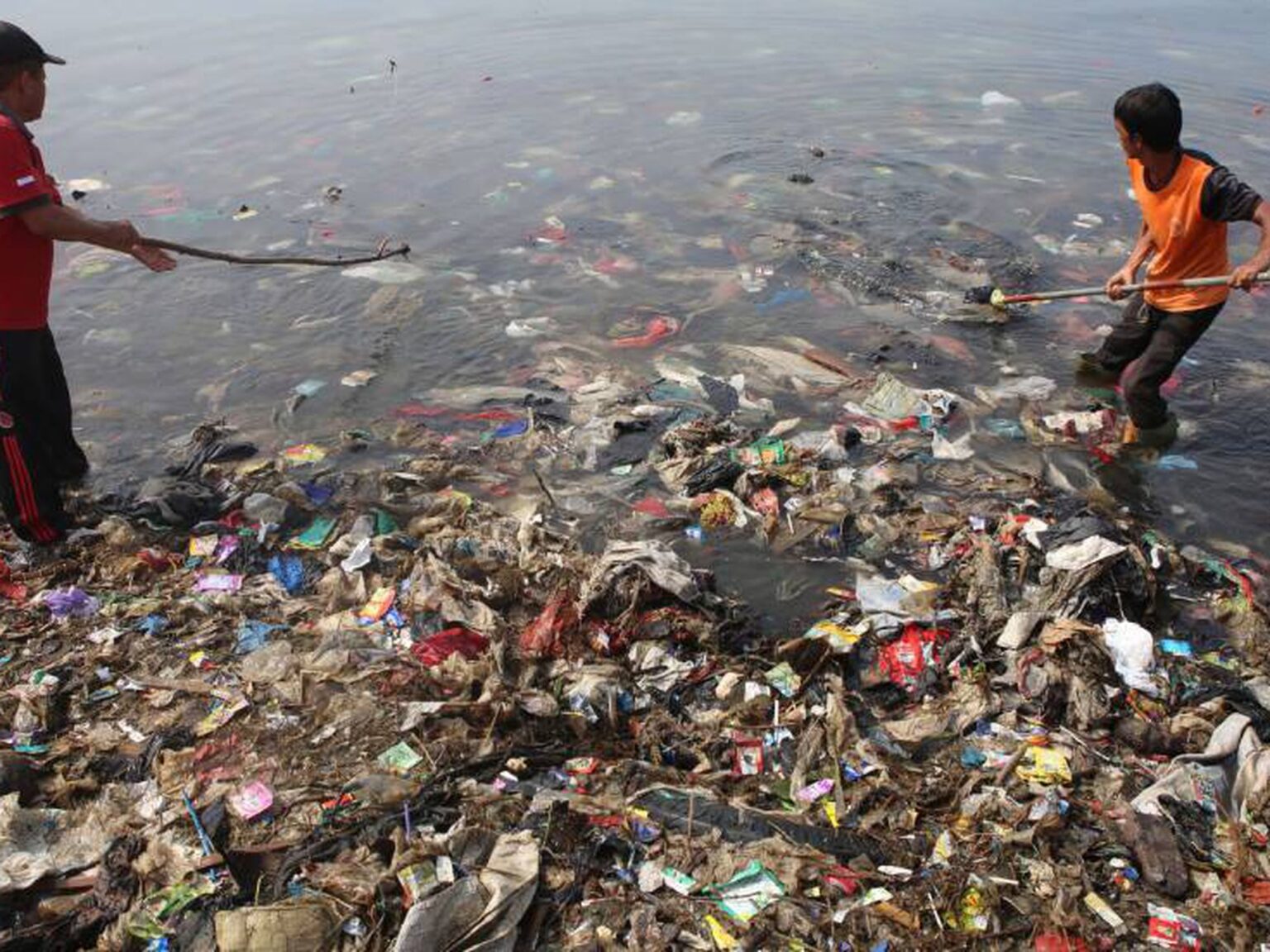 ¿Cuáles son los 10 agentes más contaminantes del medio ambiente? - We ...