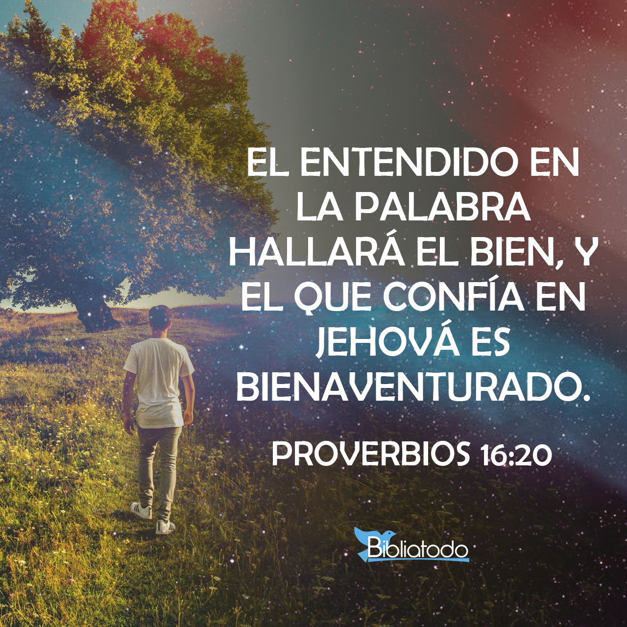 ¿Qué dice en Proverbios 16 3? - We School