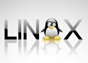 ¿Quién es el creador del sistema operativo Linux? - We School